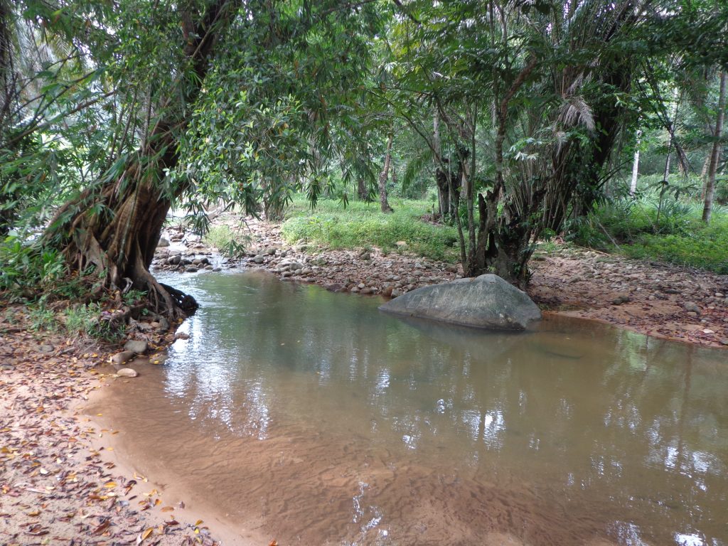Chalet Koperasi Felda Trolak Timur | menarikdi.com