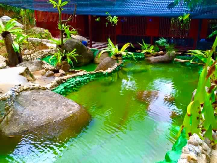 Dangau Rimba | menarikdi.com