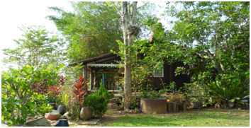 Rehat Sebentar Homestay Pulau Pisang | menarikdi.com