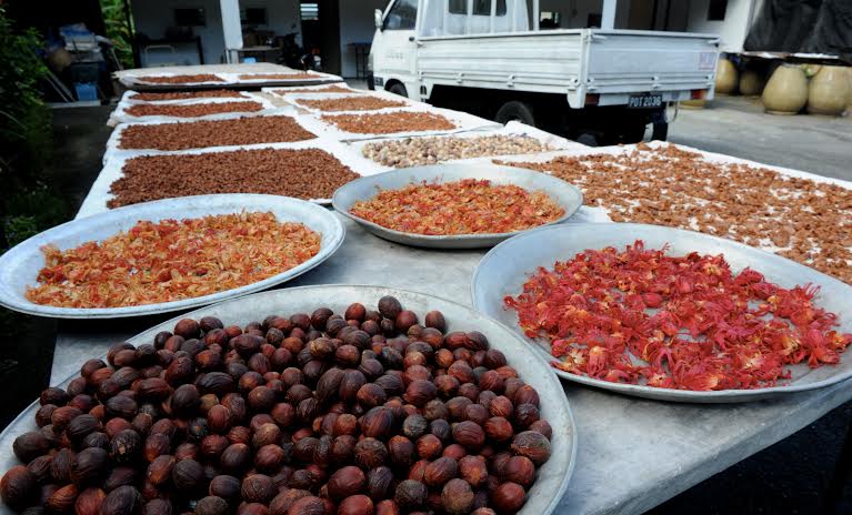 Kilang Buah Pala Ghee Hup di Sungai Pinang | menarikdi.com